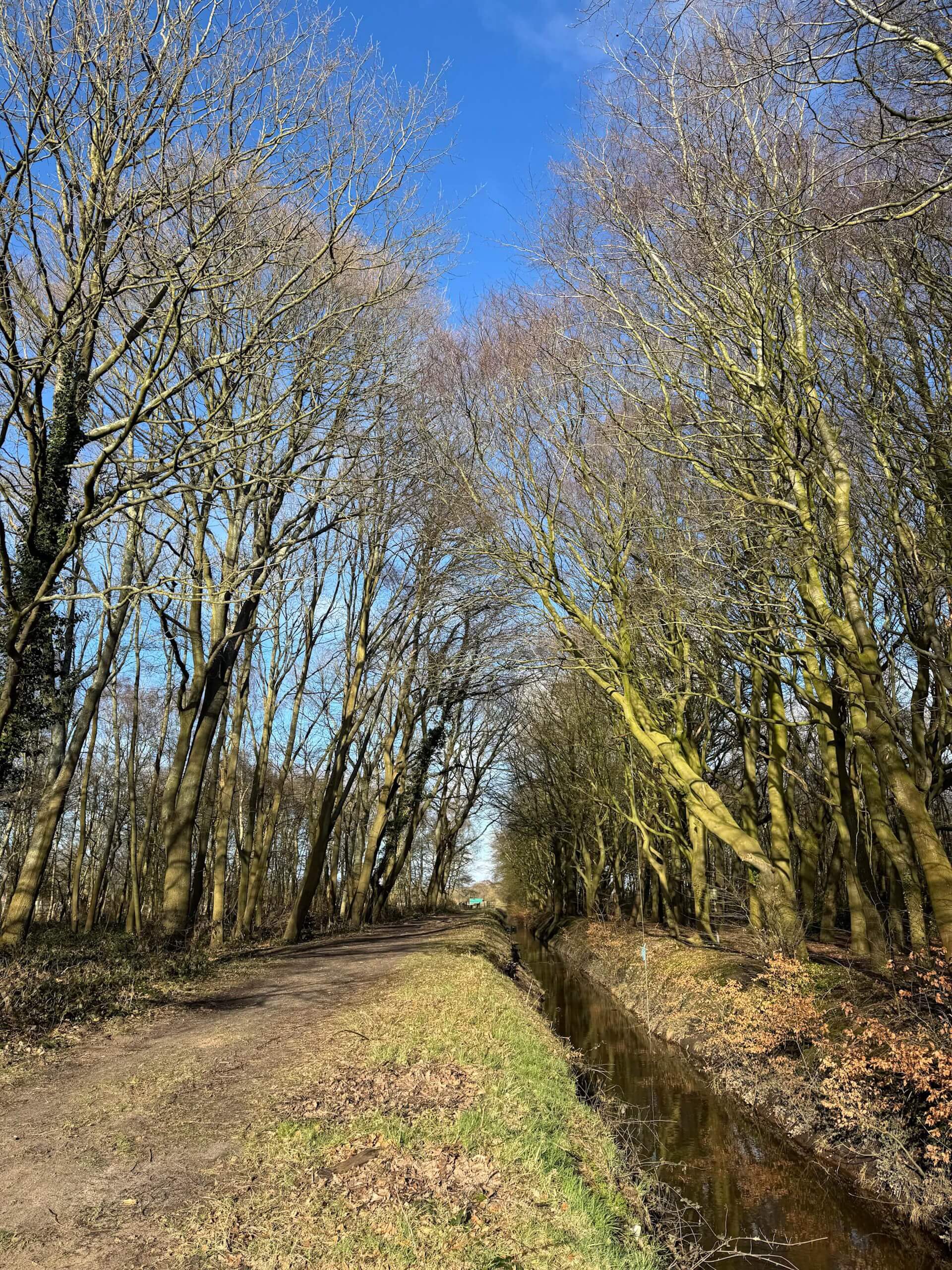 Tent Pitches | Caravan Pitches | Mere Brow | Lancashire - Leisure Lakes